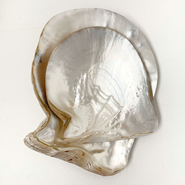 Real Natural Pearl Shell Plate Caviar Server Polished Edge - Sourceress