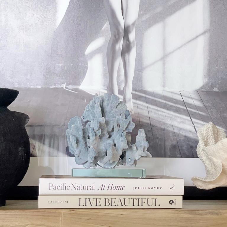 Real Blue Ridge Coral Specimen - Sourceress