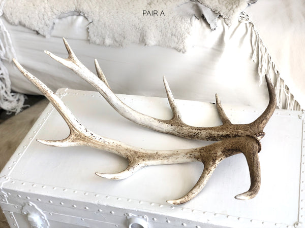 Real Red Deer Antler Pair - Sourceress