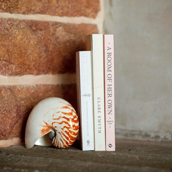 Real Rare Nautilus Stripe Shell - Sourceress