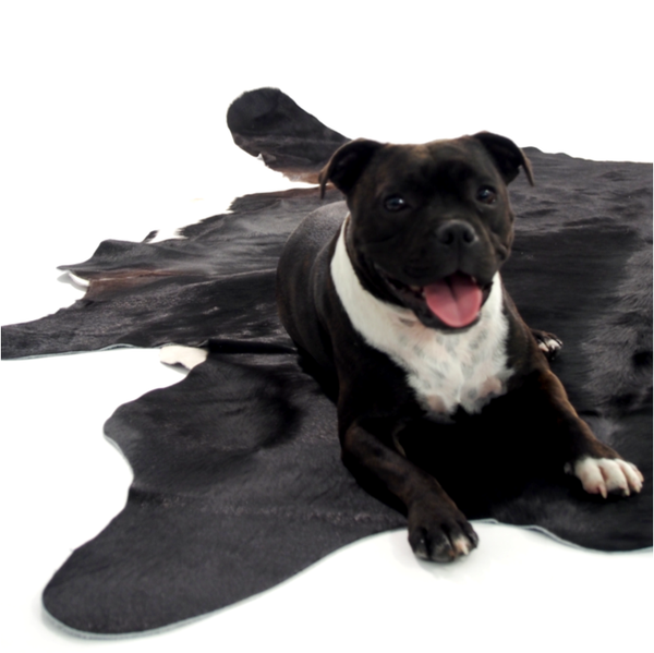 Premium Cowhide - Natural Black - Sourceress
